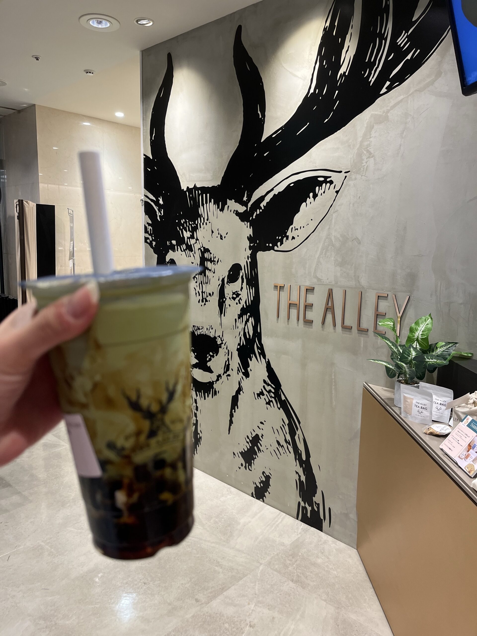 Brown Sugar Tapioca Matcha Latte (黒糖タピオカ抹茶ラテ) - The Alley - Boba Excursions