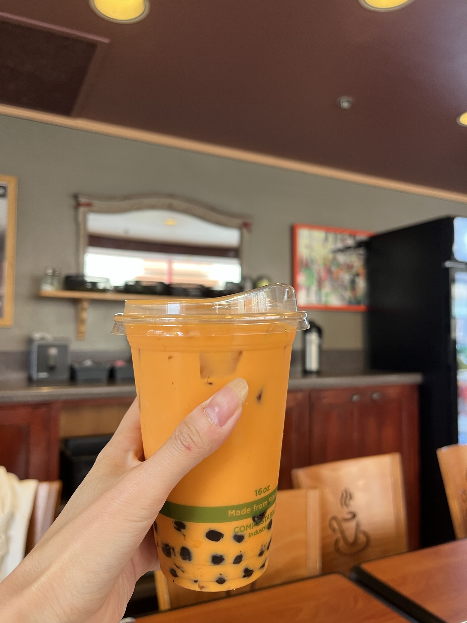 Thai Boba Milk Tea - Plumes Coffee & Tea - Boba Excursions